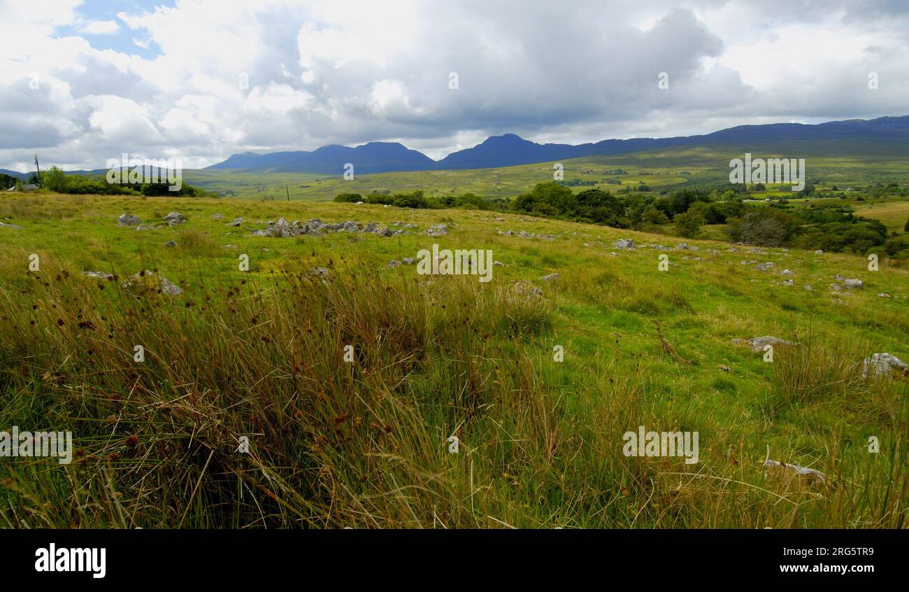 Rhinog wales uk hi-res stock photography and images - Alamy