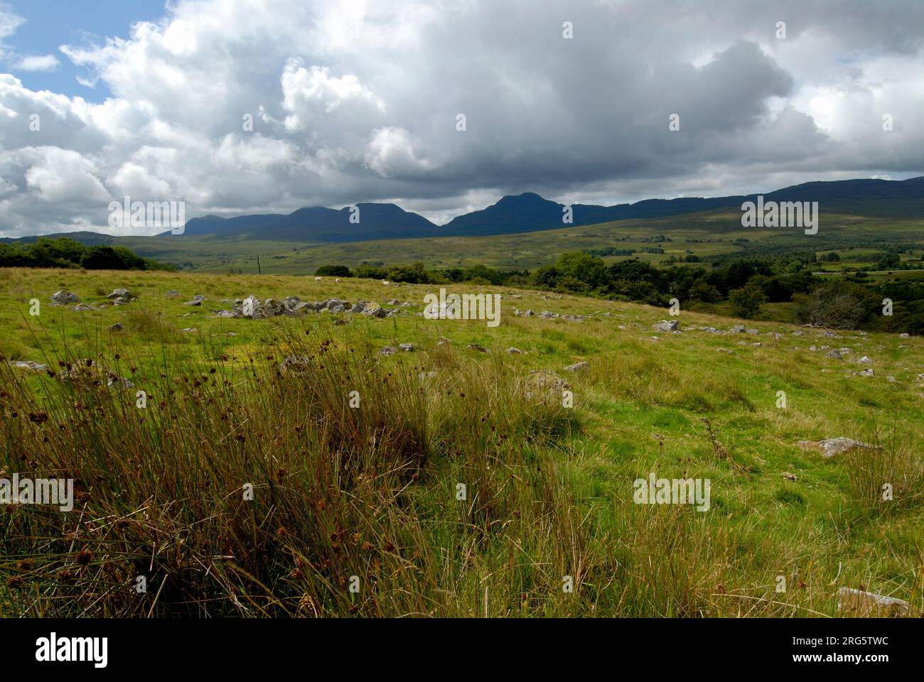 Rhinogydd rhinogs eryri national park hi-res stock photography and ...