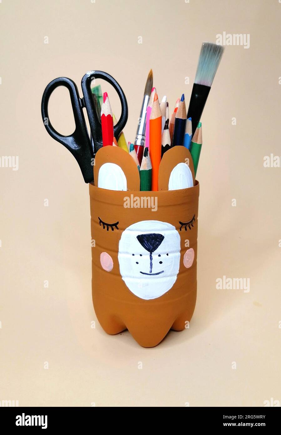 The art of handmade recycling from plastic bottle. Crafts ideas for the ...