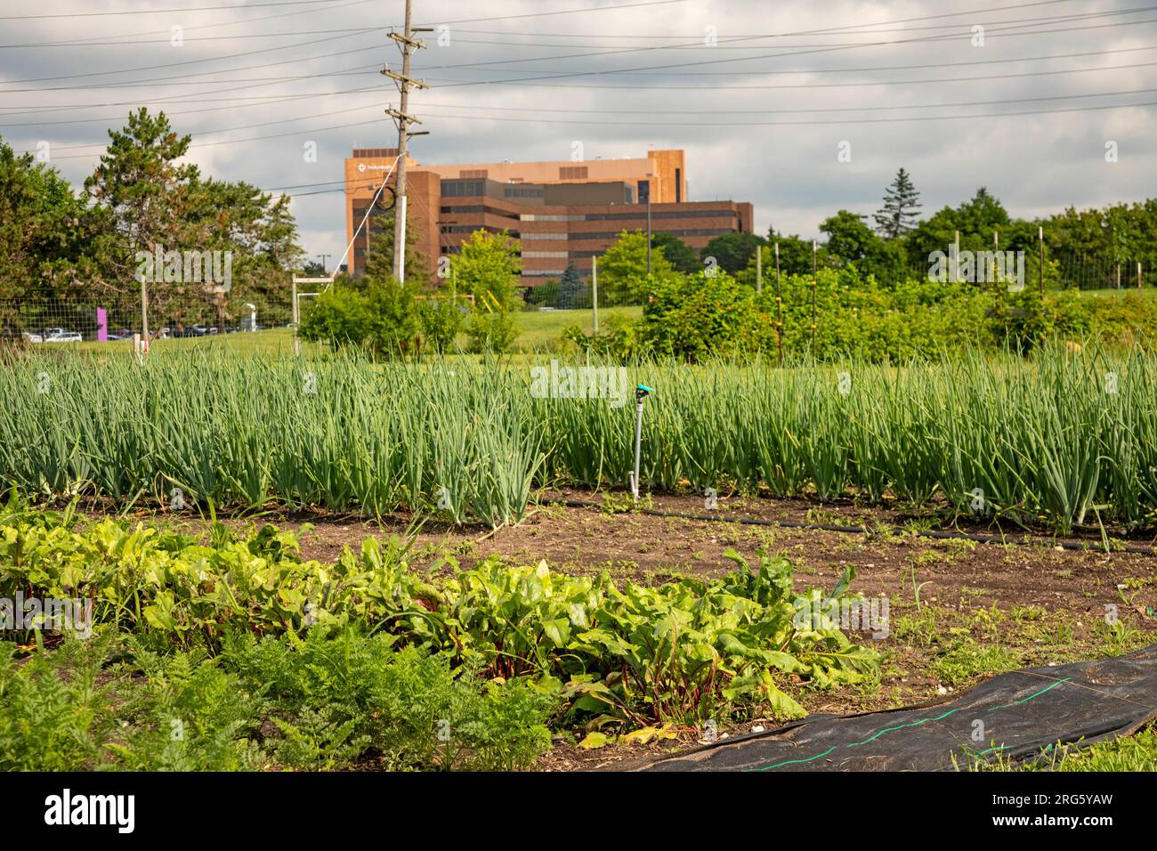 Ypsilanti, Michigan - The Farm at Trinity Health, part of a growing ...