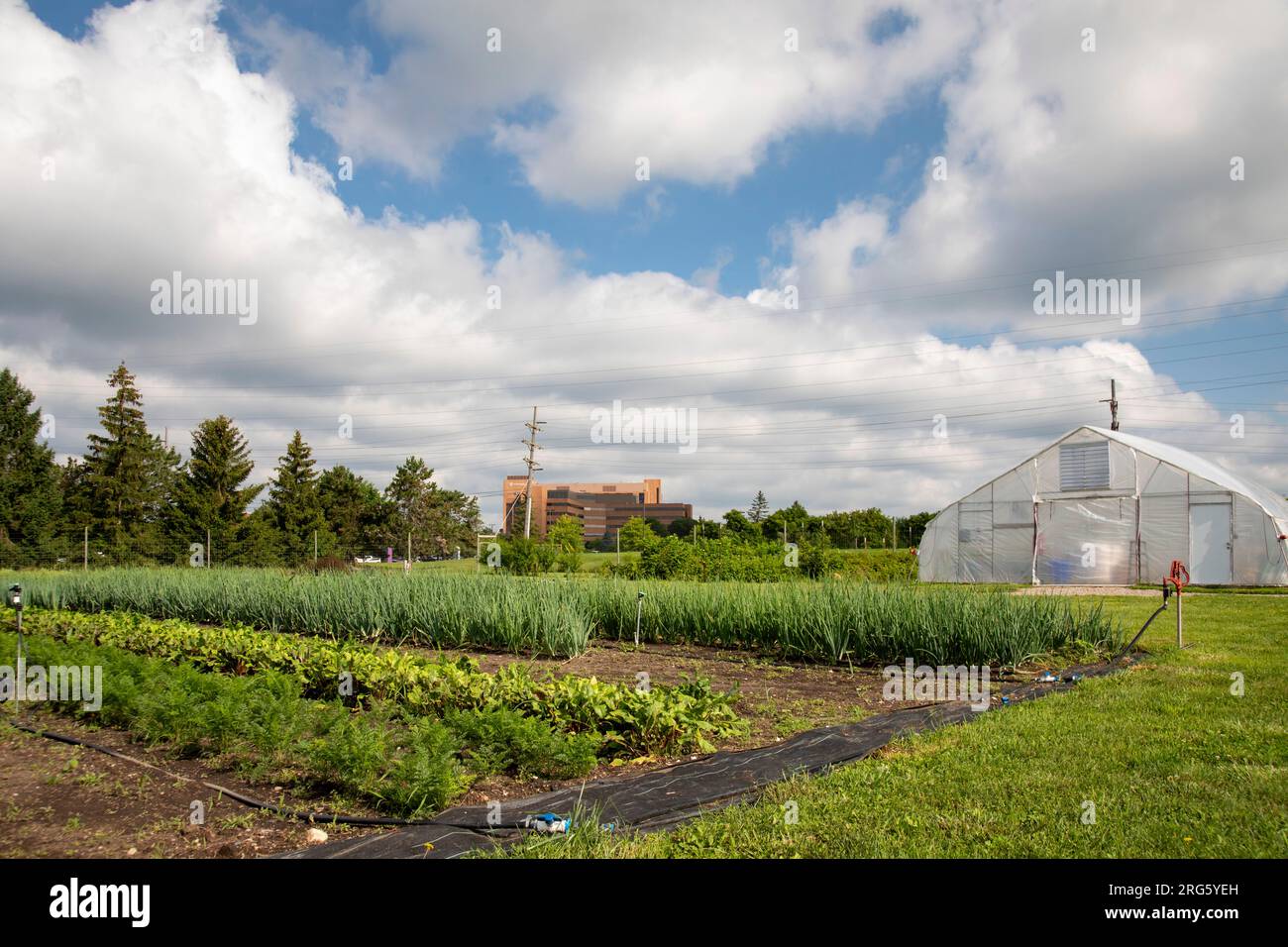 Ypsilanti, Michigan - The Farm at Trinity Health, part of a growing ...
