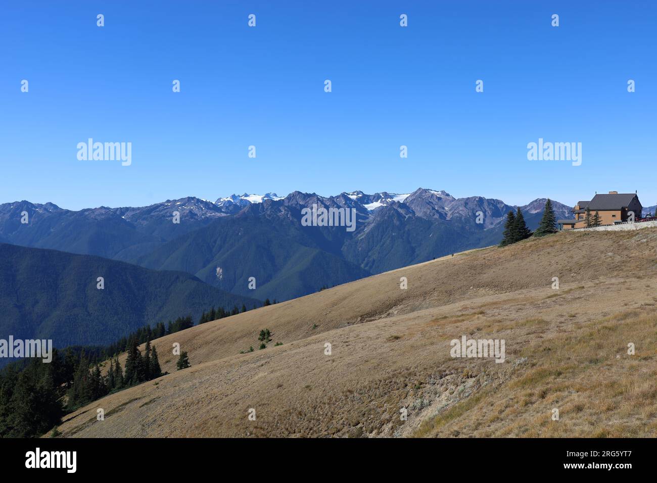 Photo of Hurricane Ridge in Olympic National Park Washington Stock ...