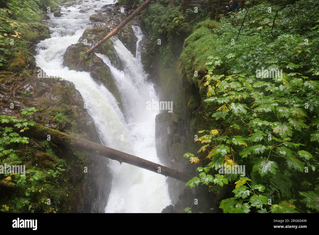Photo of Sol Duc Water falls in Olympic national park, Washington Stock ...