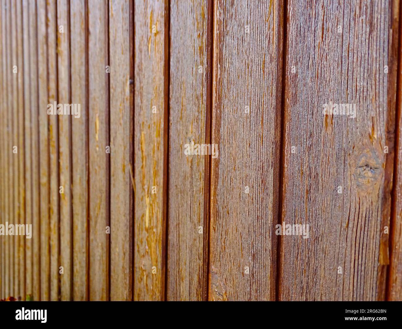 Rustic Symphony: A Dance of Sun-kissed, Aged Planks on a Vintage ...