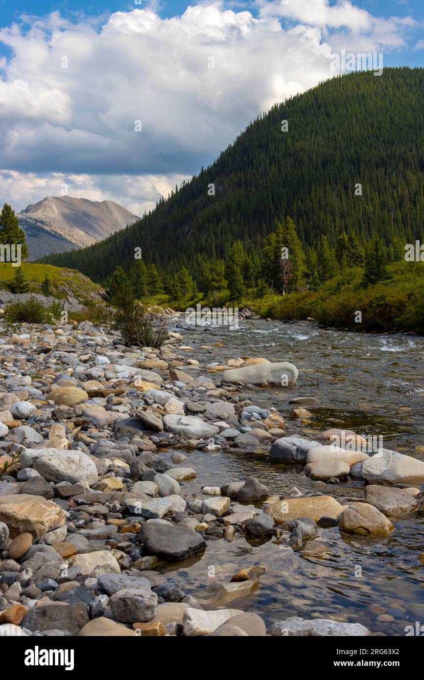 rocky river bank with flowing river water in mountain foot hills Stock ...