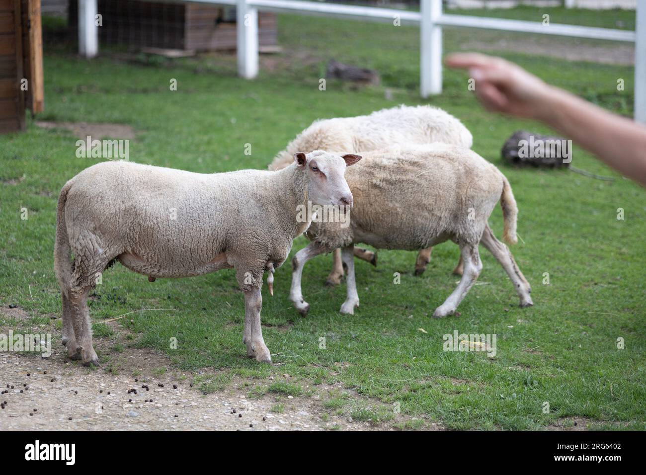 Bazoches Sur Guyonne, France. 07th Aug, 2023. A picture taken on August ...