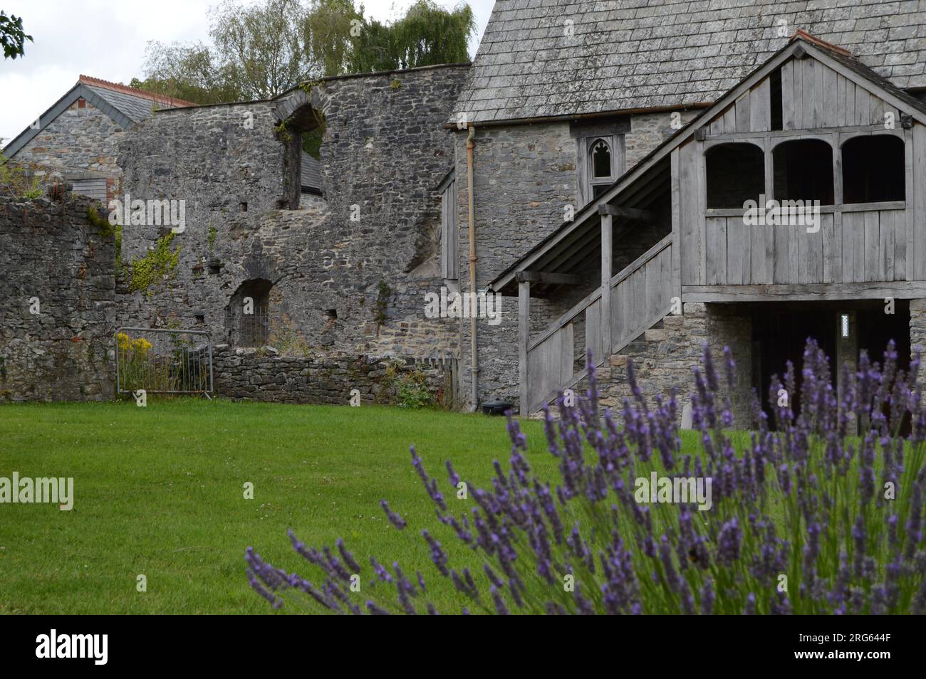 Buckfast Abbey, Devon Stock Photo - Alamy