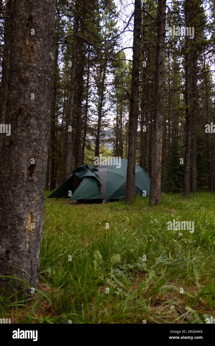camping tent deep in forest with trees surrounding it Stock Photo - Alamy