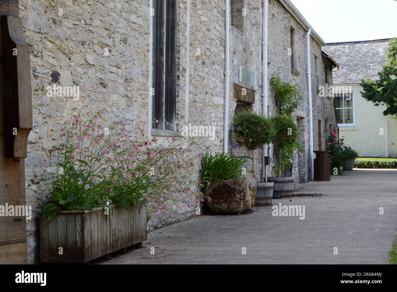 Buckfast Abbey, Devon Stock Photo - Alamy