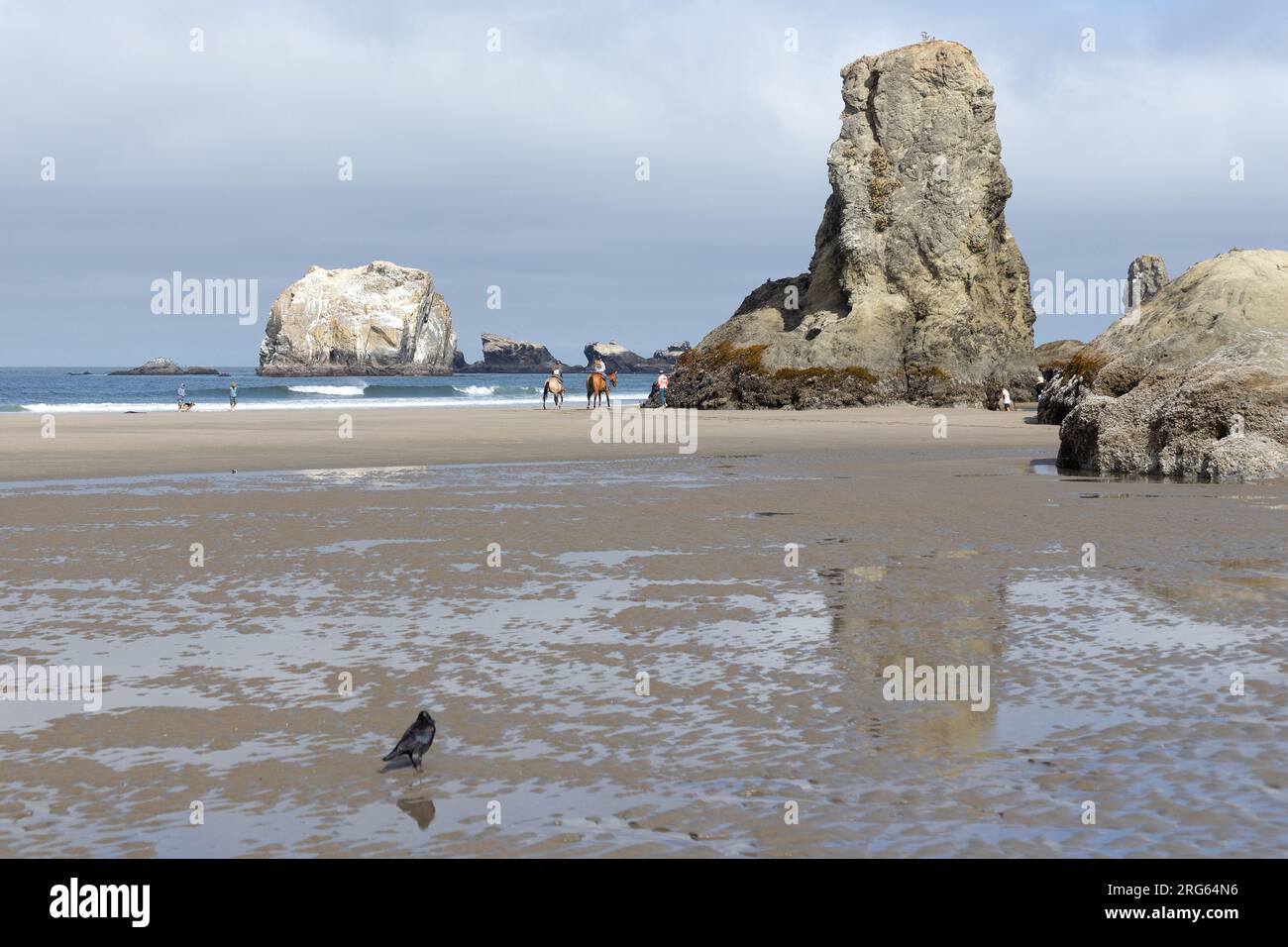 Face Rock Beach in Bandon, Oregon on a summer day, including sea stacks ...