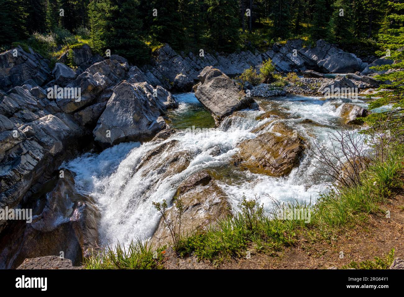 Hummingbird falls hi-res stock photography and images - Alamy