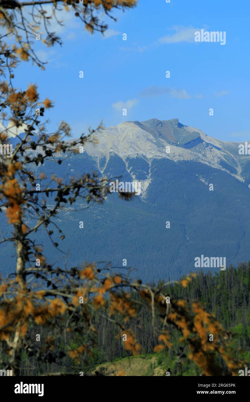 So there is a legend in Jasper about a man who got turned into a ...