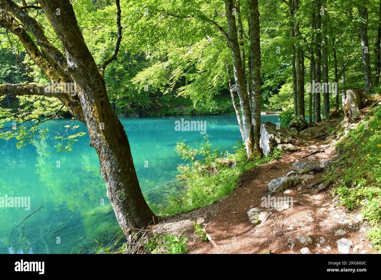 Hiking trail on the shore of Laghi di Fusine Inferiore in commune di ...