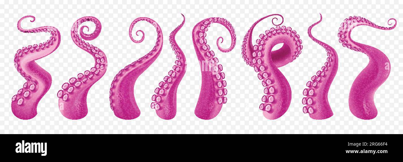 Curl and intertwined octopus tentacles cartoon set in purple color at ...