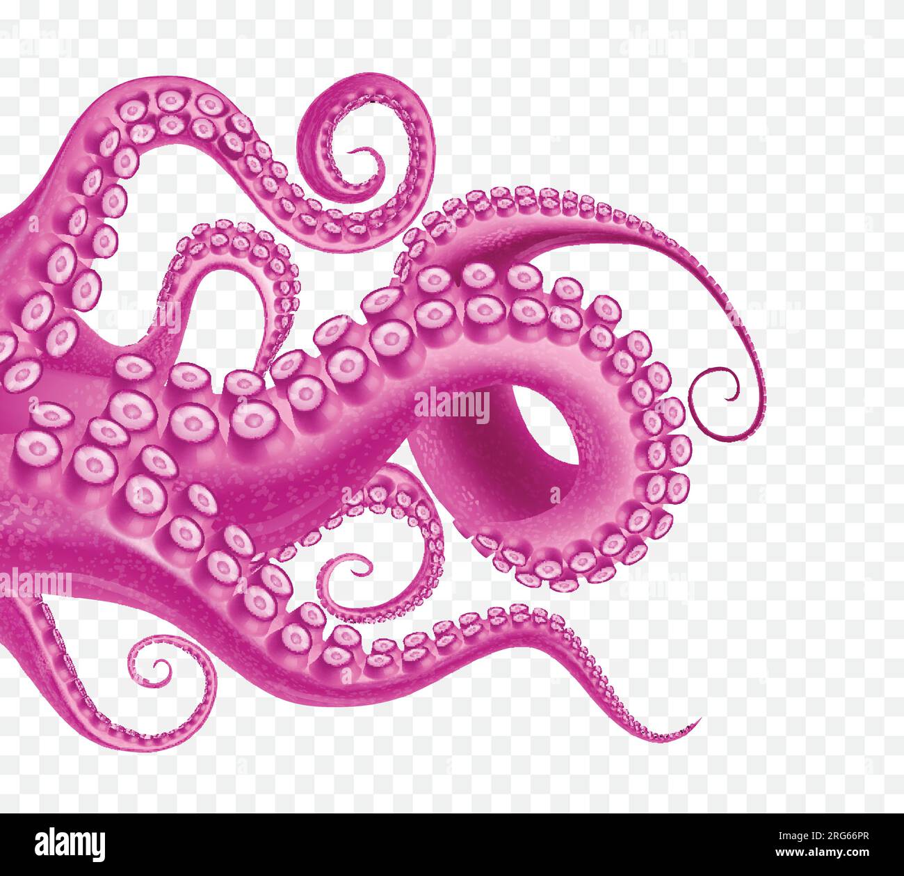 Abstract transparent background with fragment of giant sea monster so ...