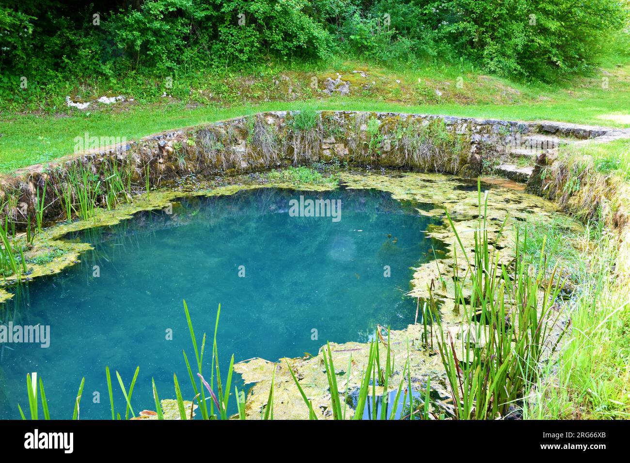 Spring of Lahinja river in Bela Krajina in Dolenjska, Slovenia Stock ...