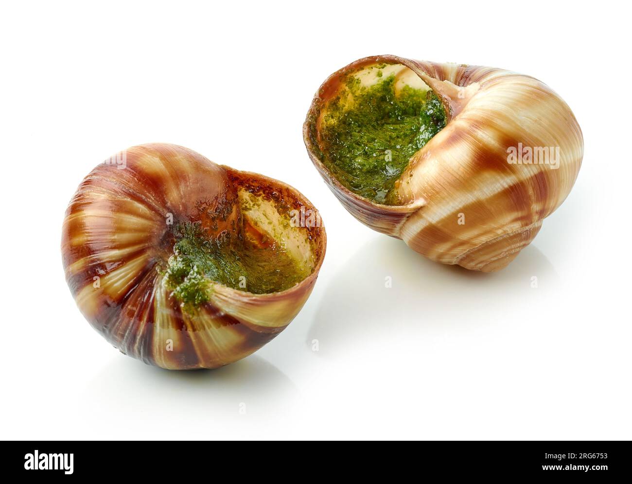 escargot snail filled with garlic and parsley butter isolated on white ...