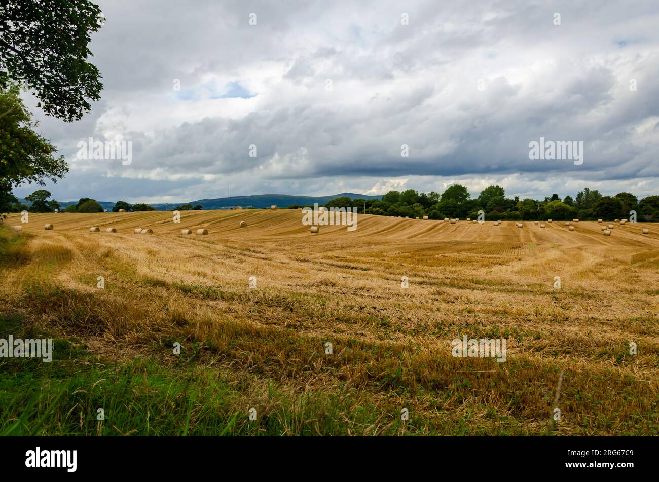 Agriculture farming farm ireland hi-res stock photography and images ...