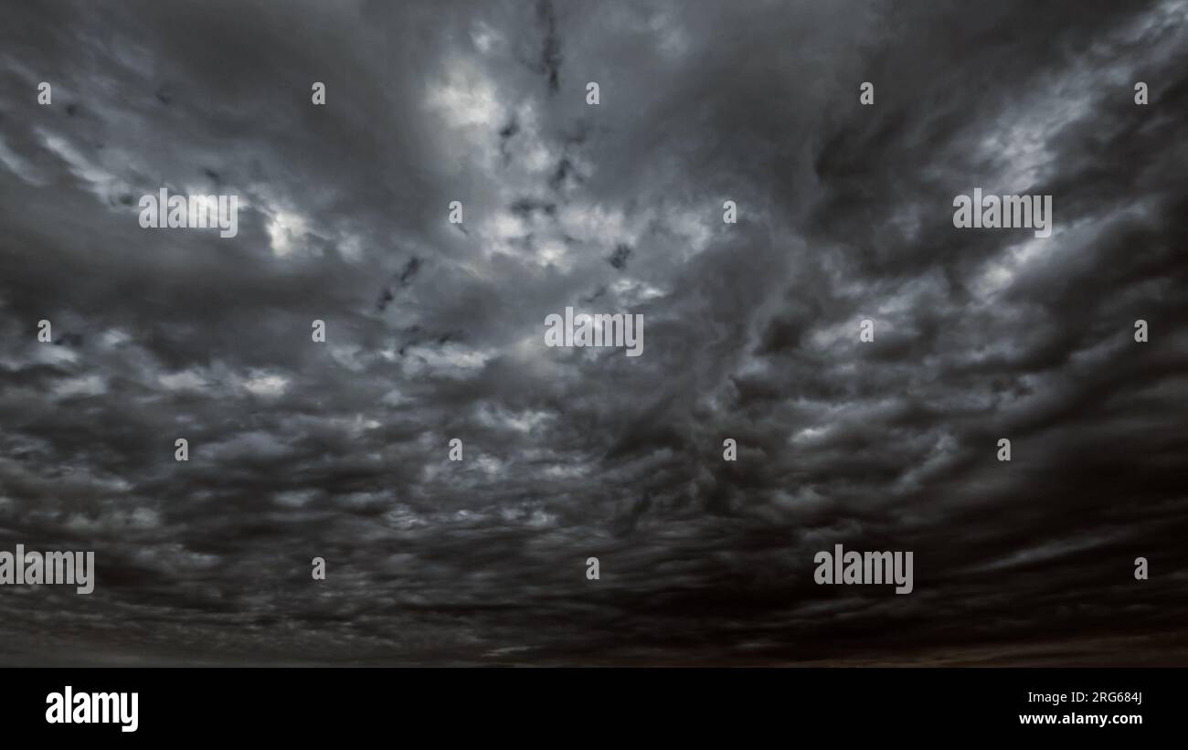 bark heavy pretty storm clouds before the heavy rain - photo of nature ...