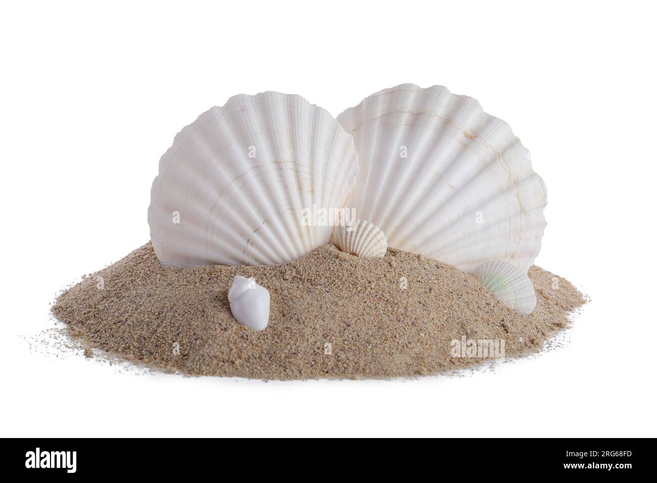 Beautiful seashells and sand on white background Stock Photo - Alamy