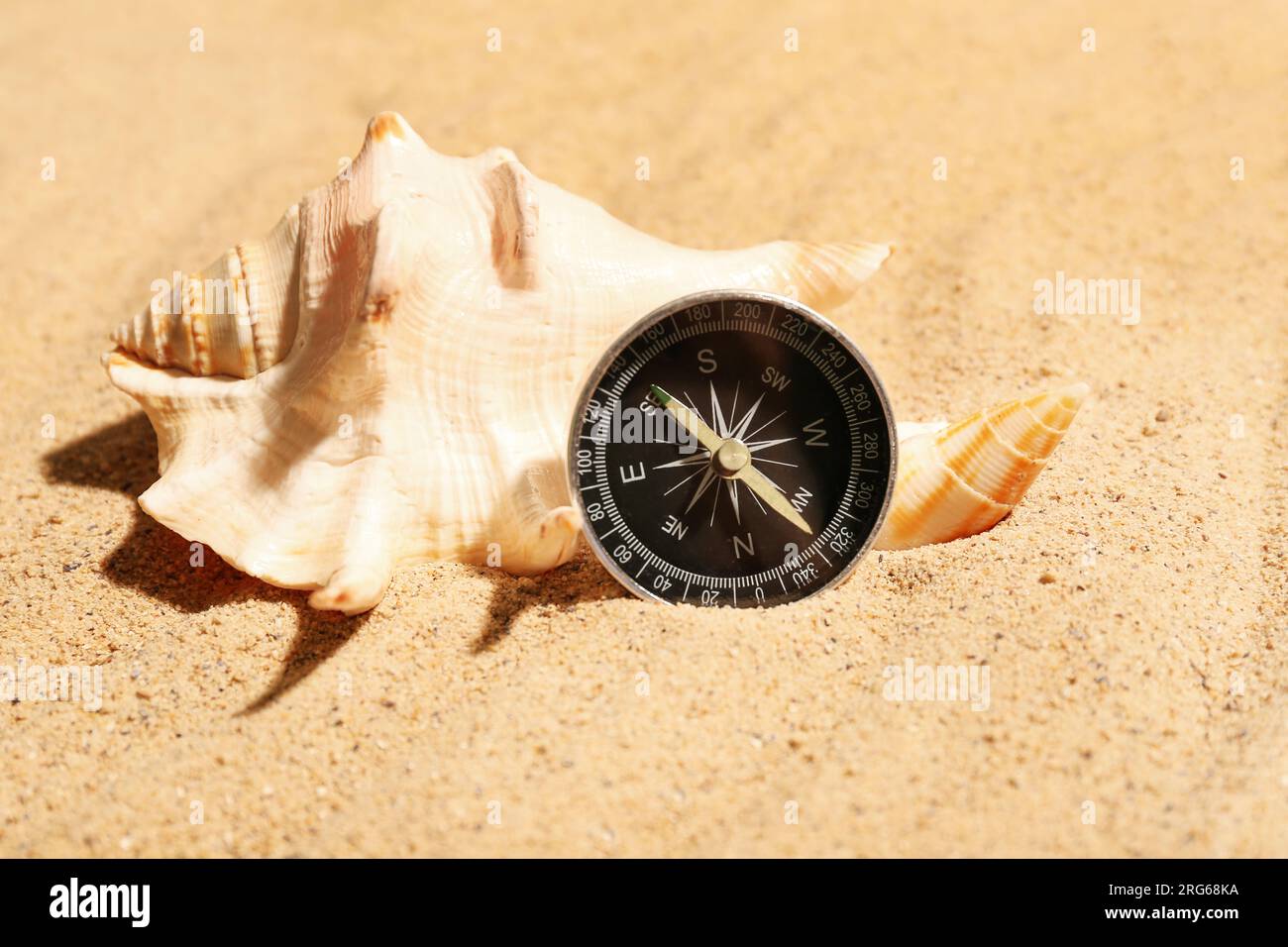 Beautiful seashell and compass on sandy beach Stock Photo - Alamy
