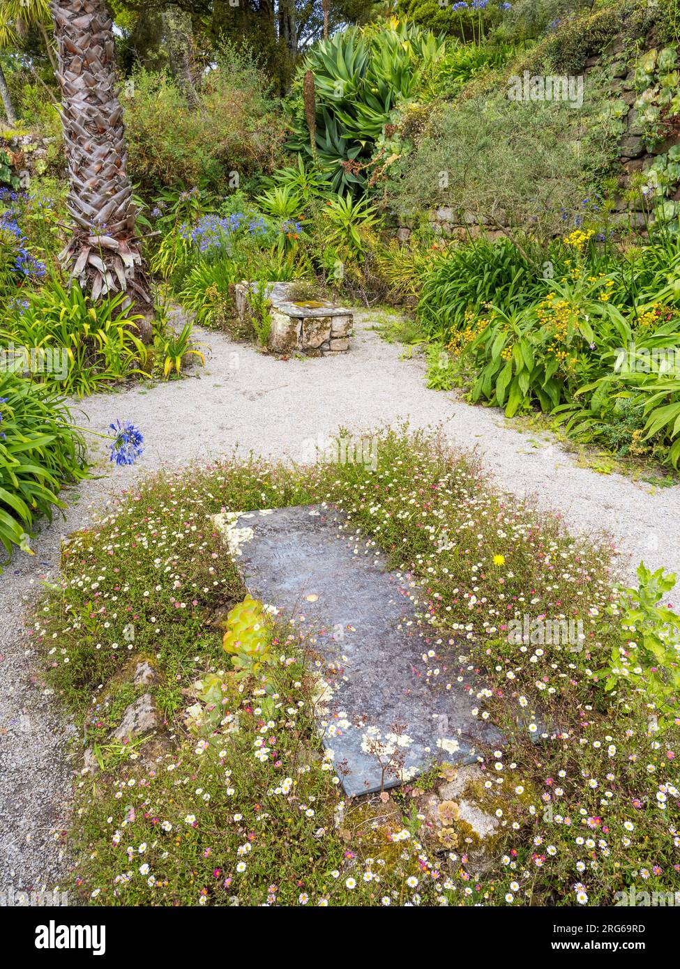 The Priory of St Nicholas, Tresco Priory, Ruins of Abbey, Tresco Abbey ...