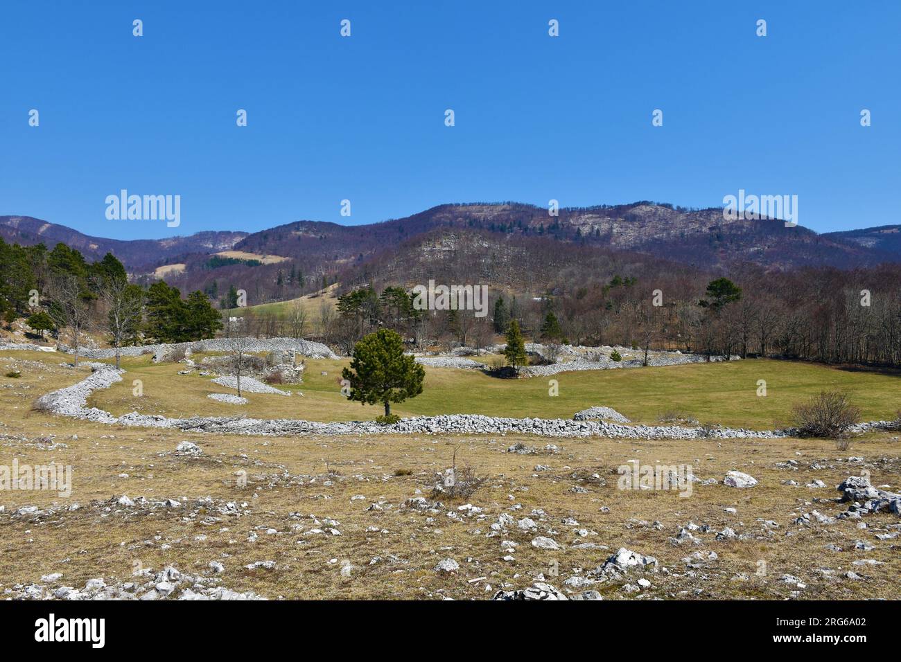 Rural landscape with old stone ruins and forest covered hills behind at ...
