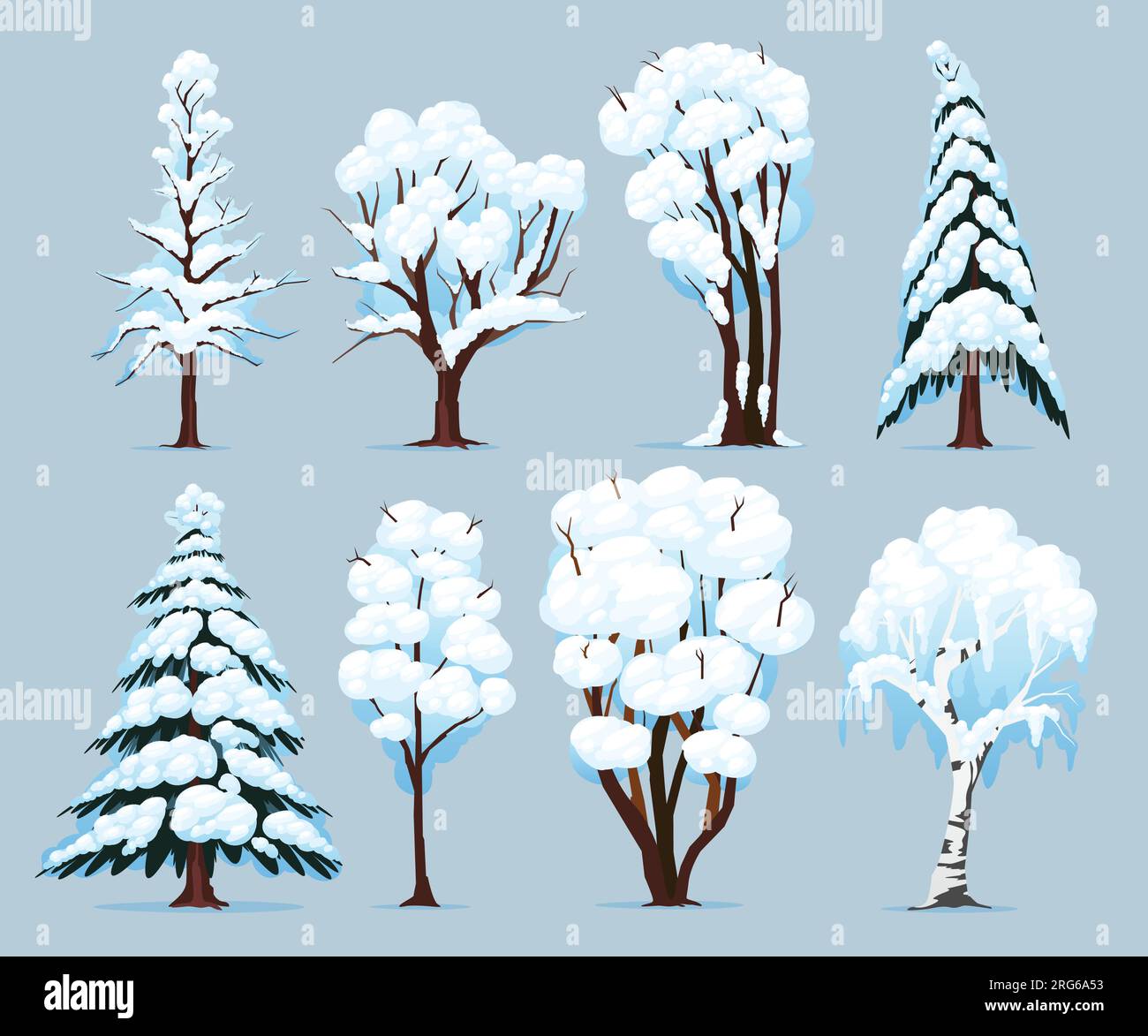 Deciduous and coniferous species trees with snow covered branches ...