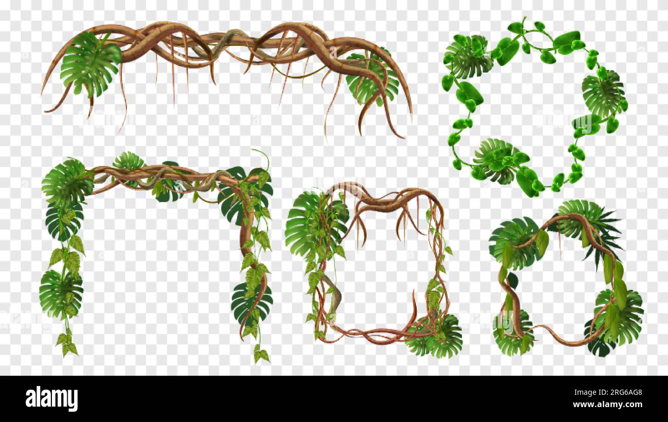 Branches tropical jungle frame set with transparent background and ...