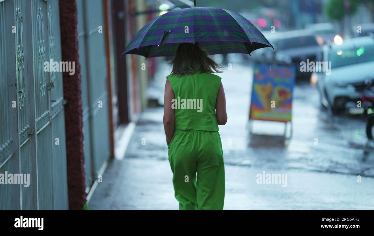 Back view of person walking in the rain holding umbrella Stock Photo ...