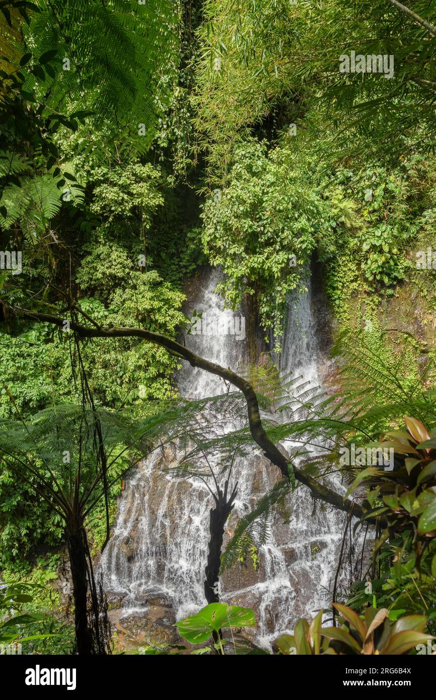 Air terjun goa giri campuhan hi-res stock photography and images - Alamy