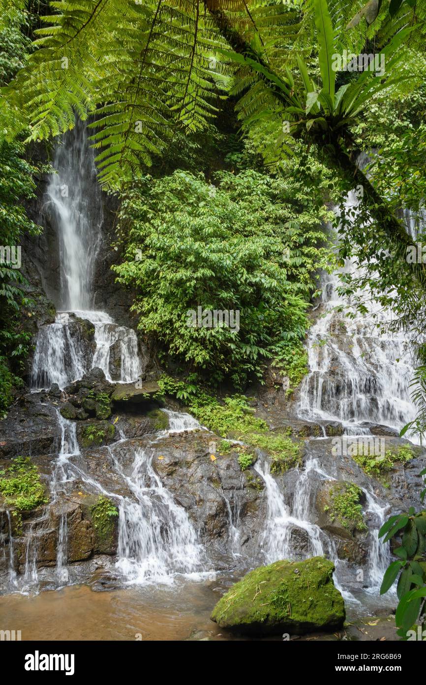 Goa Giri Campuhan Waterfall, Tembuku, Bangli Regency, Bali, Indonesia ...