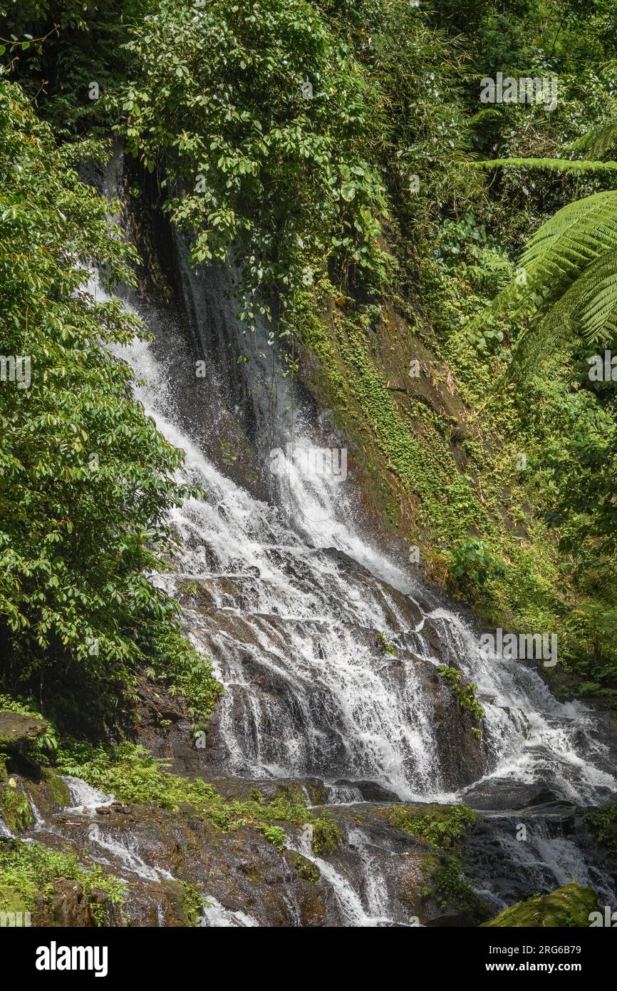 Goa Giri Campuhan Waterfall, Tembuku, Bangli Regency, Bali, Indonesia ...