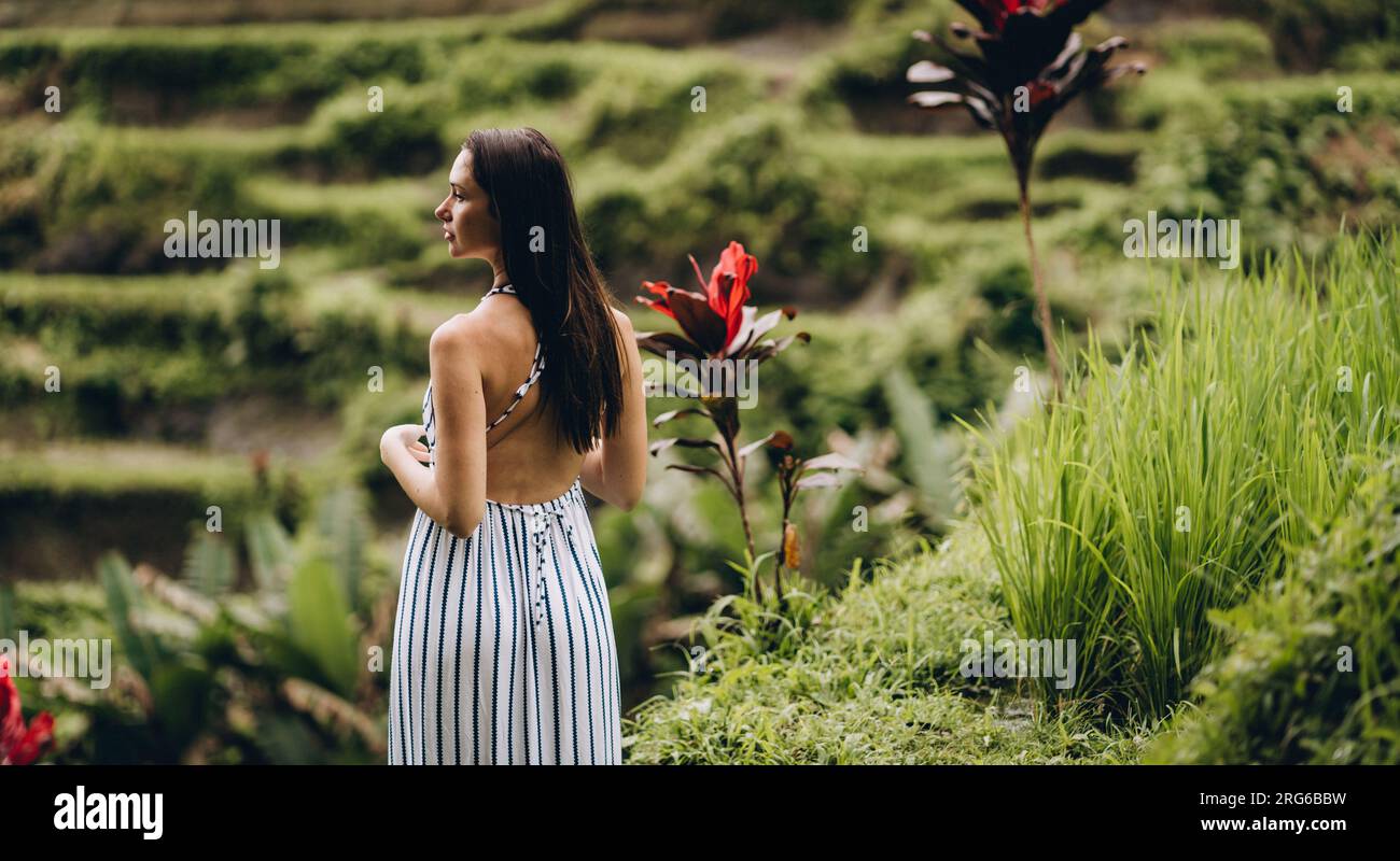 Close up shot of back view standing girl with rice terrace background ...