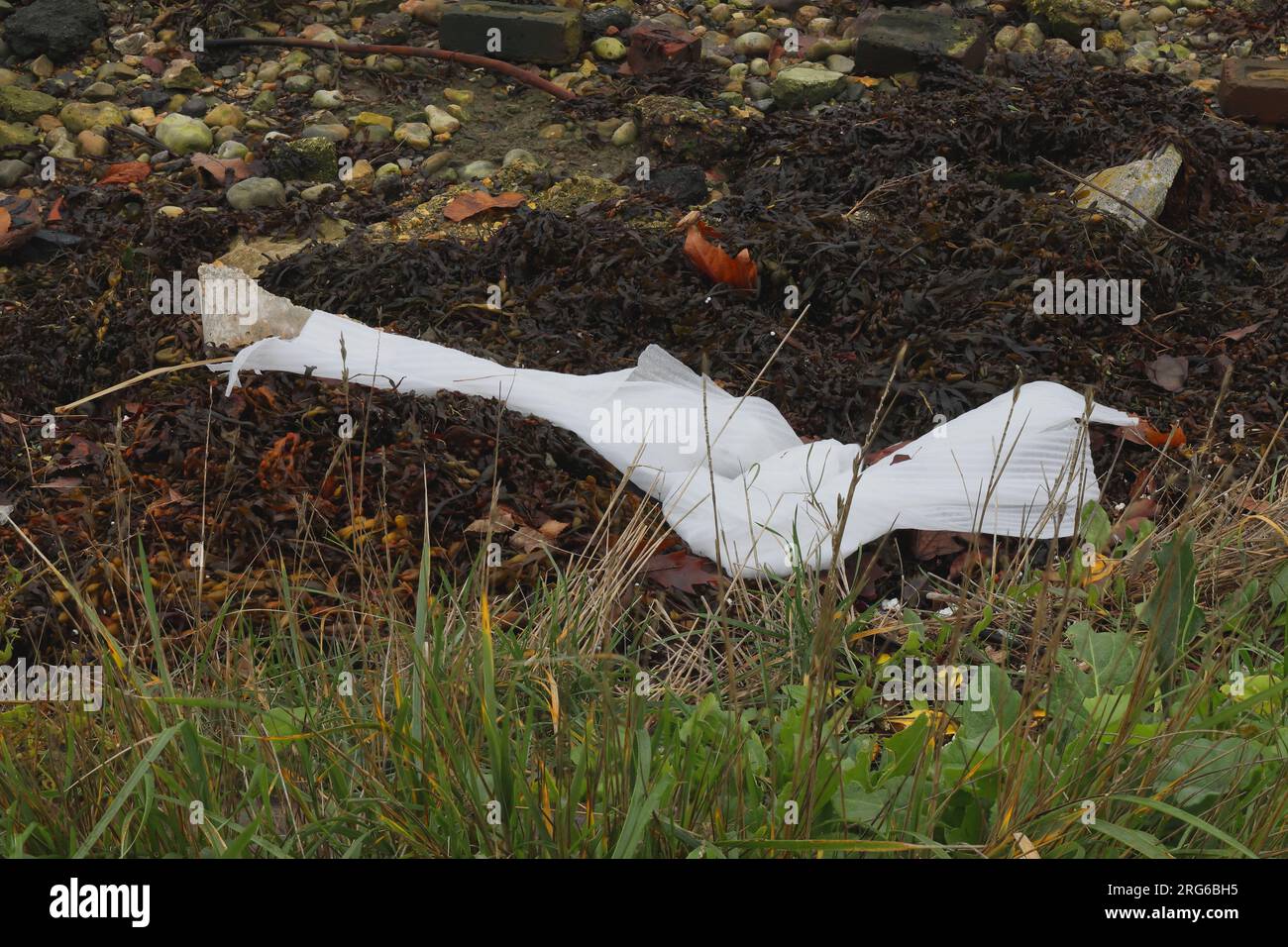 Plastic sheet pollution hi-res stock photography and images - Alamy