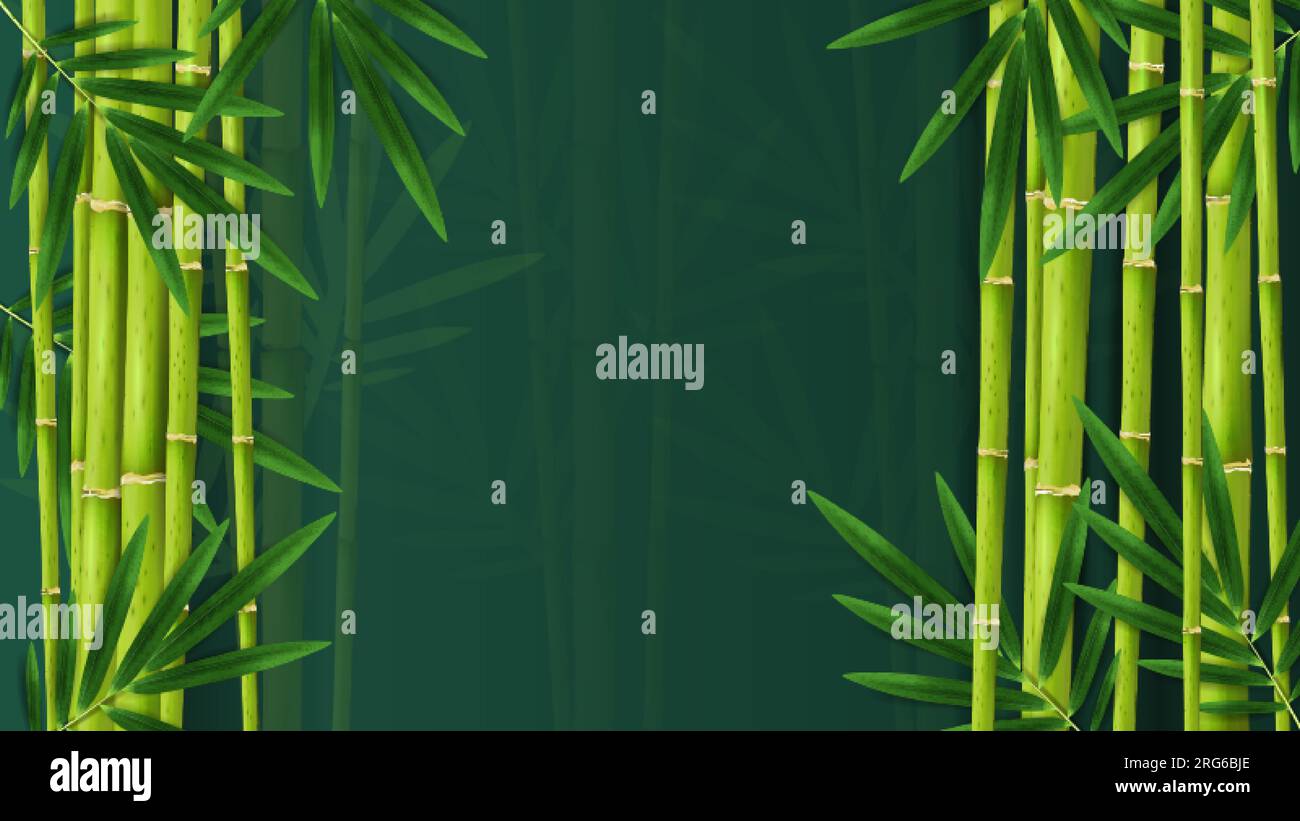Branches tropical jungle bamboo composition with darkened rainforest ...