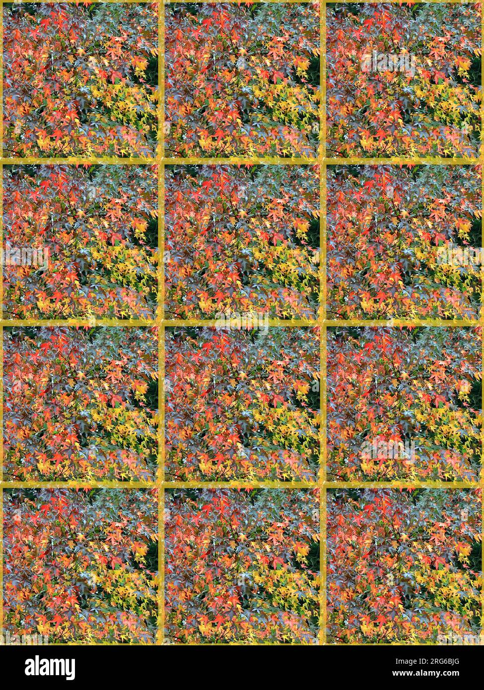 Maple leaf design consisting of twelve panels with red, green, yellow ...