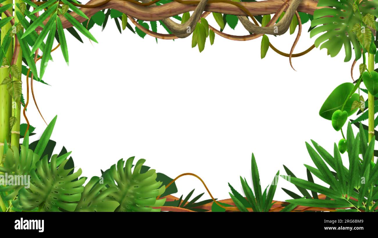 Branches tropical jungle frame with composition of empty space ...