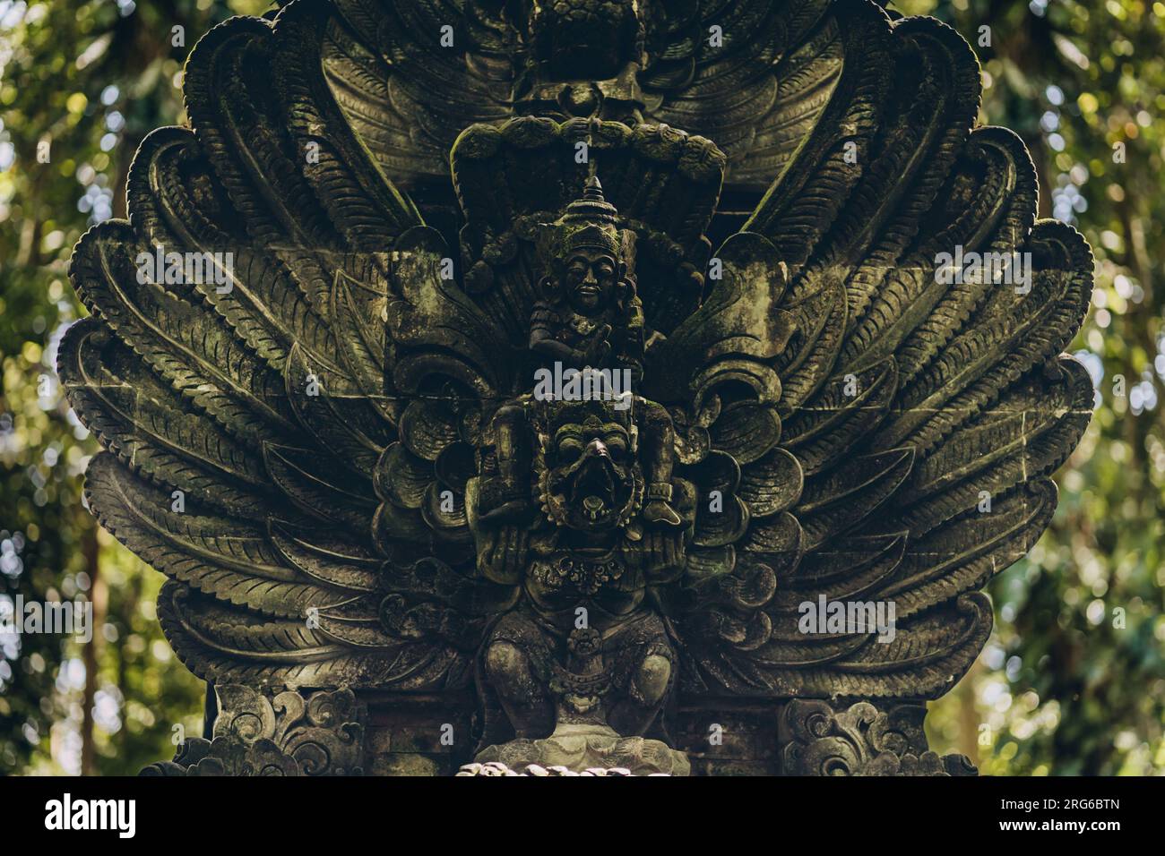 Close up shot of stone sculpture covered with moss in monkey forest ...