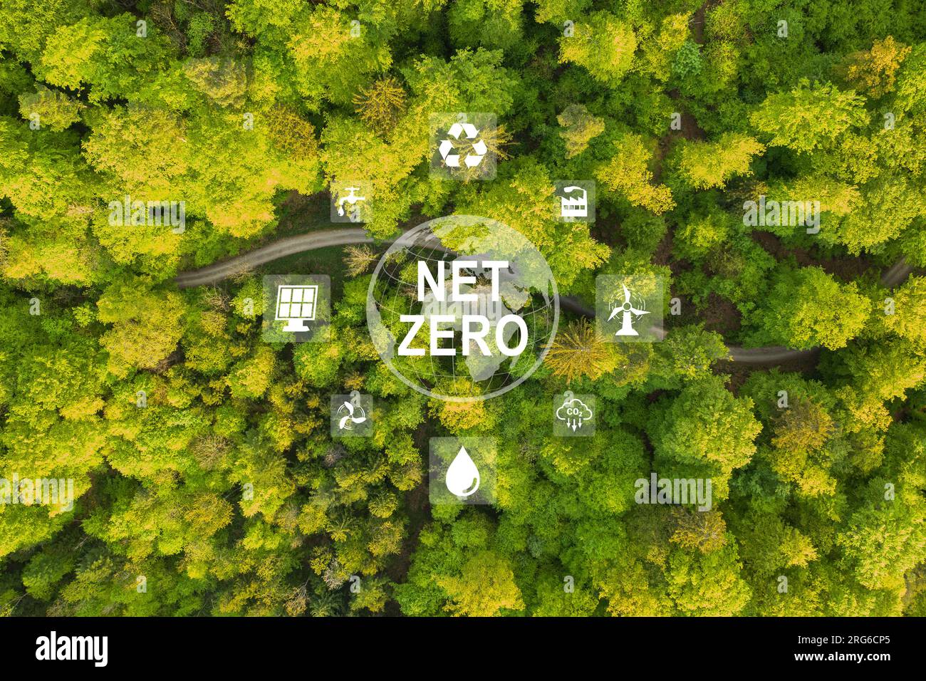 icon reduce CO2 emission concept on the top view of the forest for ...