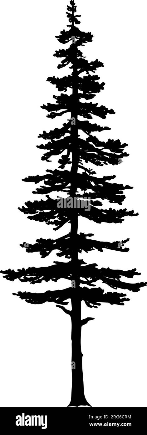 Coniferous tree vector vectors Black and White Stock Photos & Images ...