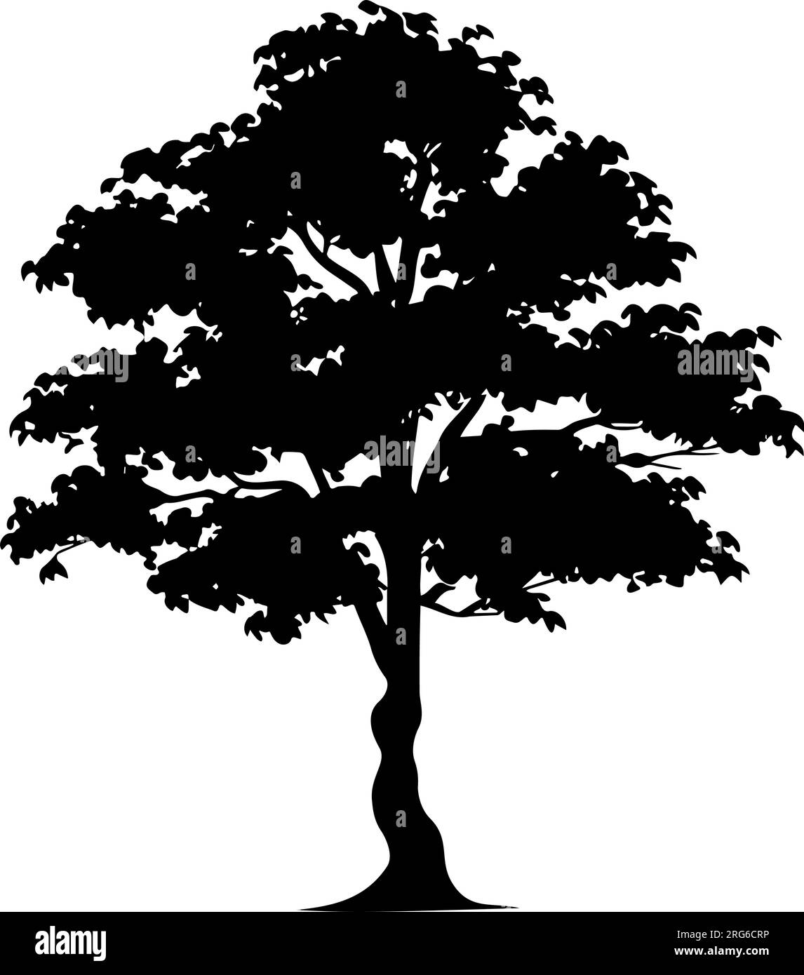 Oak tree silhouette hi-res stock photography and images - Alamy