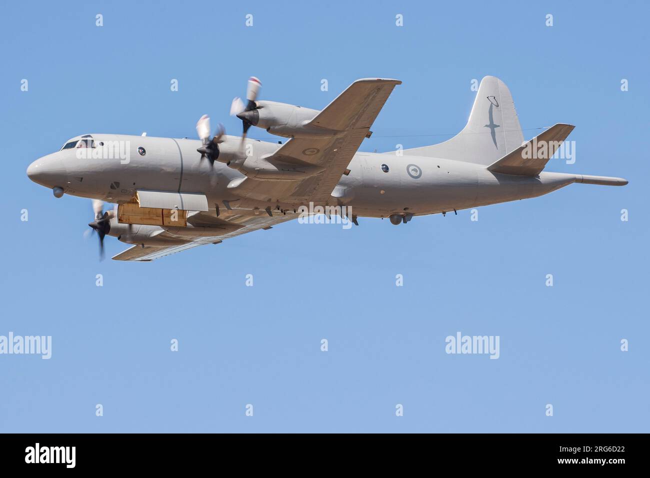 A Royal New Zealand Air Force P-3K2 Orion performing a flyby, New ...
