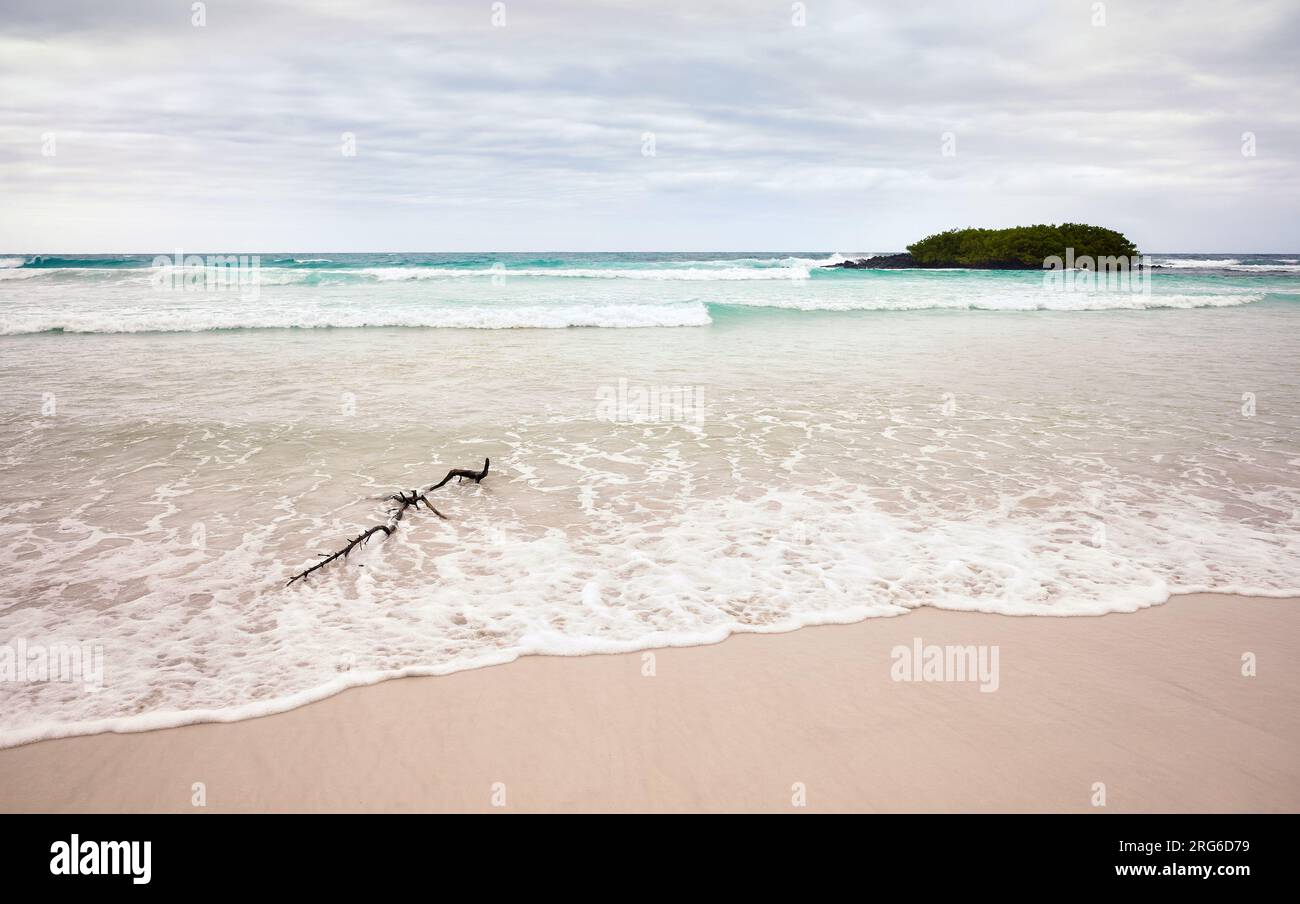 Tortuga Bay beach on Santa Cruz Island, Galapagos Islands, Ecuador ...
