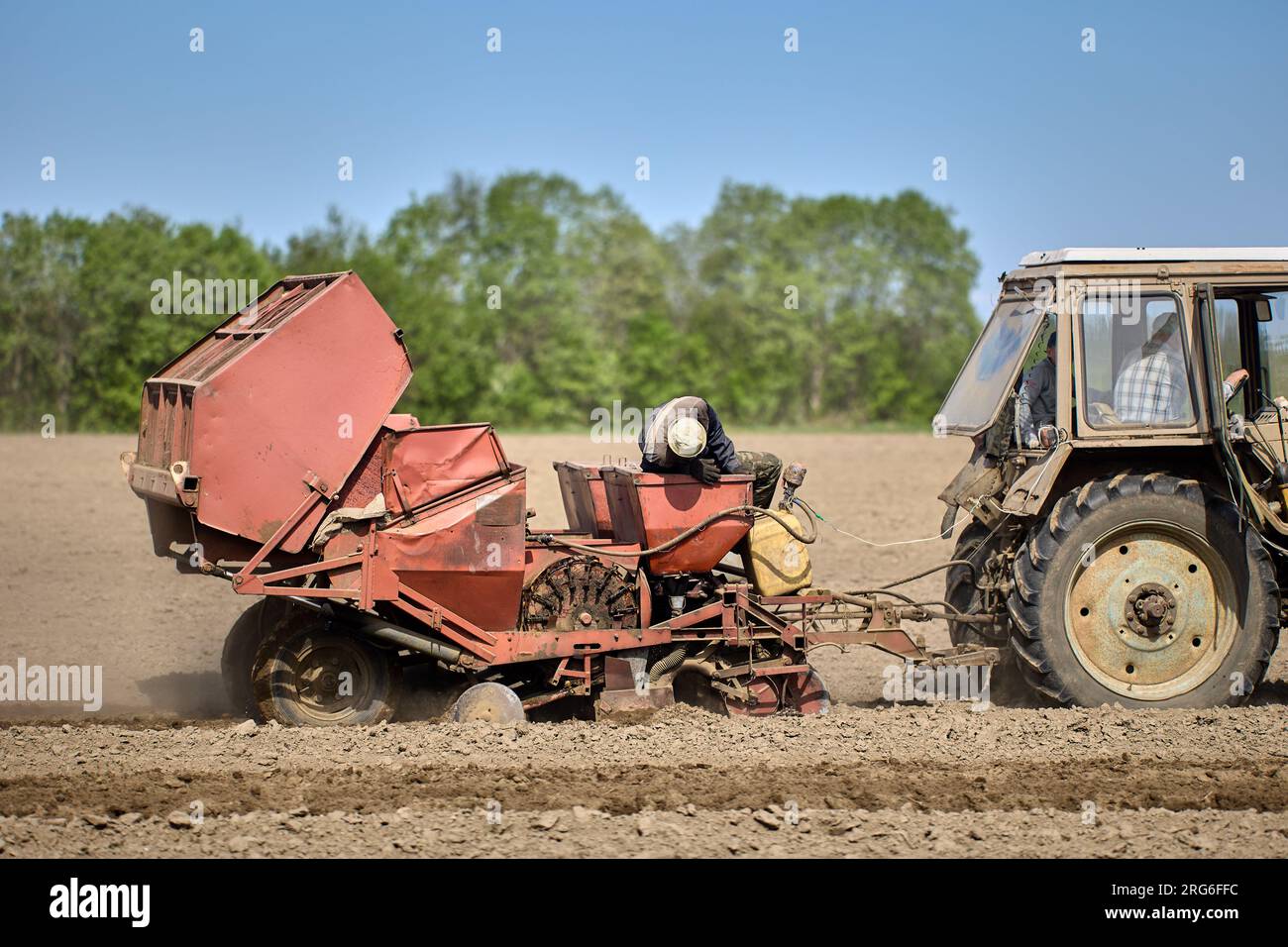 Potato planter planting potatoes in farm field during spring sowing ...