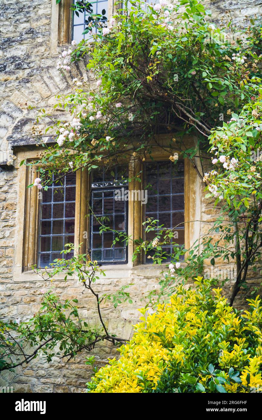 Medieval house window hi-res stock photography and images - Alamy