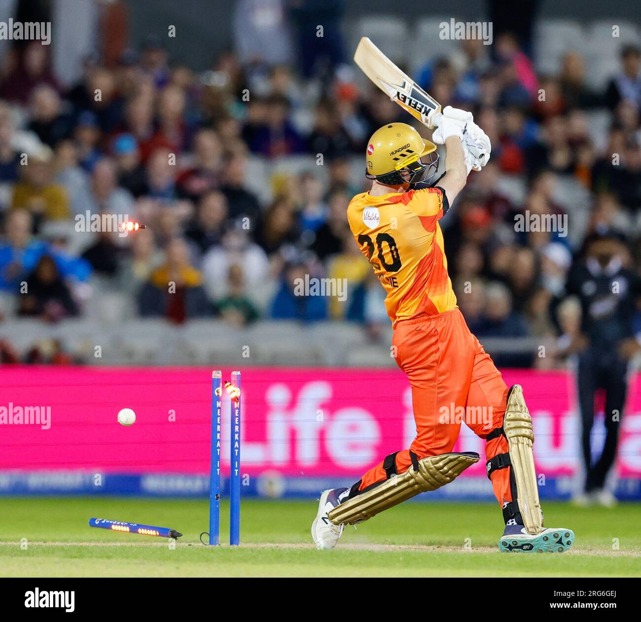Josh little cricket hi-res stock photography and images - Alamy