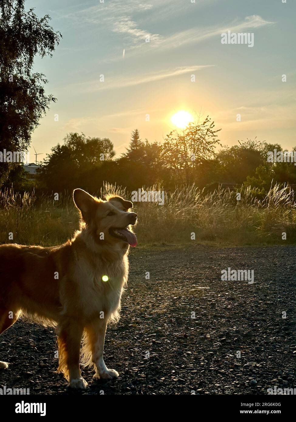 1810fotografie hi-res stock photography and images - Alamy