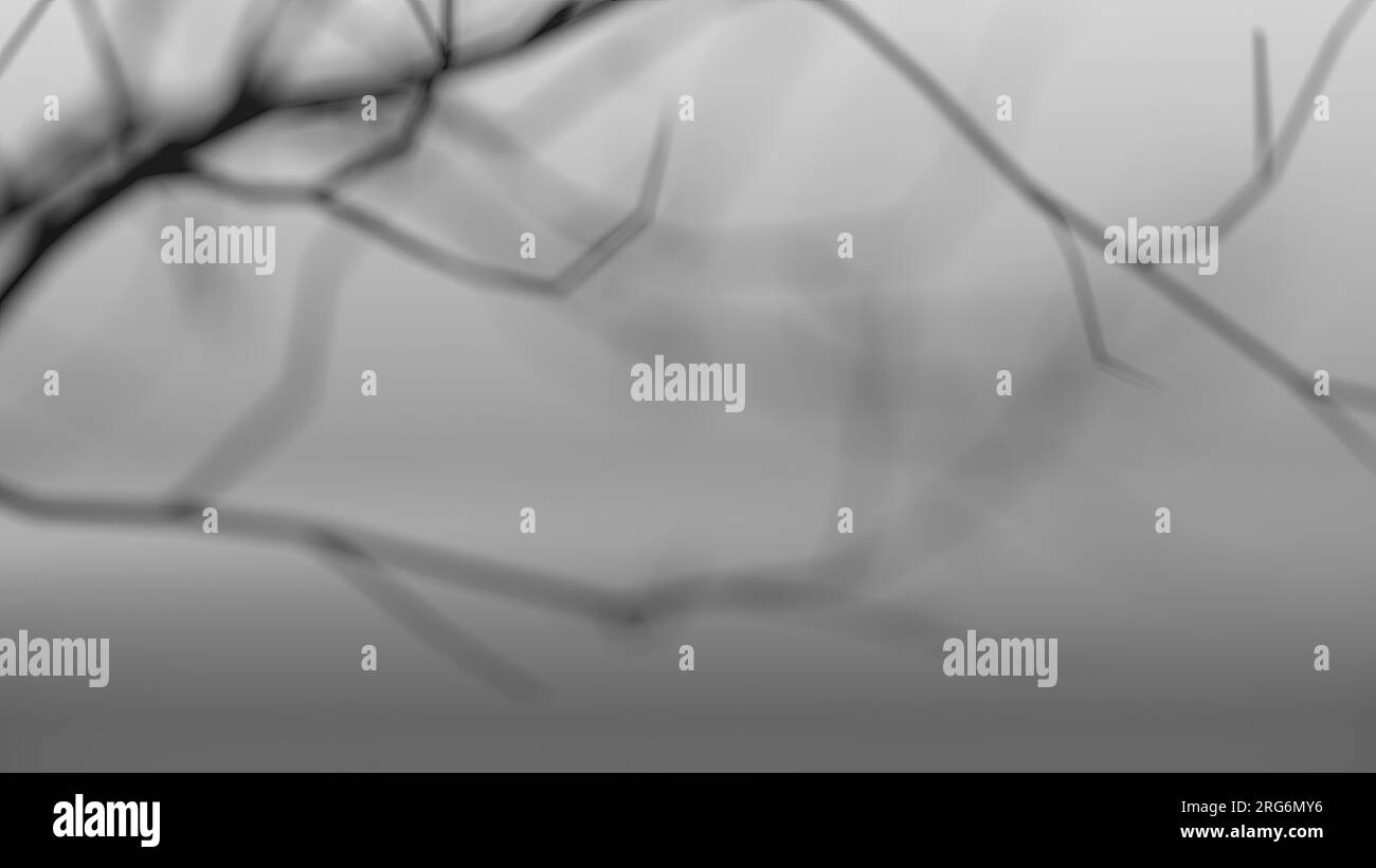 Light and shadow in the room, trees and branches, GOBO light, gray and ...