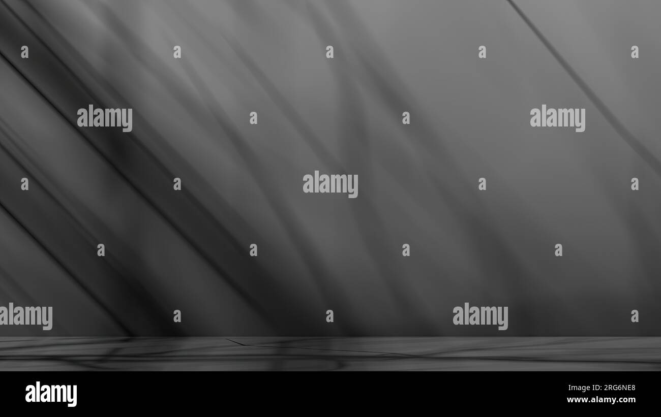 Light and shadow that enter the room, window frame and shadow of trees ...